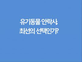 유기동물 안락사, 최선의 선택인가? - 찬성과 반대 논거-1페이지