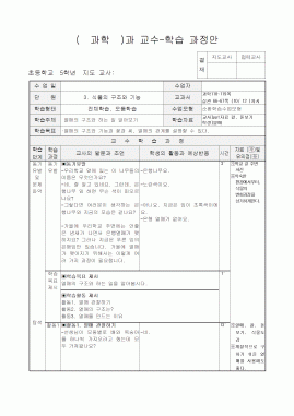 5)과학-3. 식물의 구조와 기능 -  열매의 구조와 하는 일 알아보기-1페이지