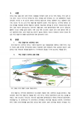 무인 정찰기의 현황 및 발전 추세-1페이지