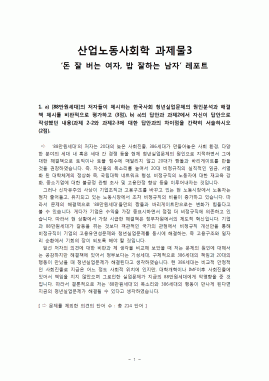 산업노동사회학 _돈잘버는여자,일잘하는남자-1페이지