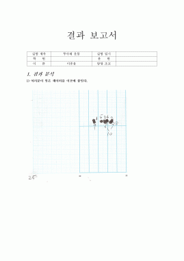 투사체운동 (결과) (1)-1페이지