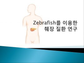 Zebrafish를 이용한 췌장 질환 연구-1페이지