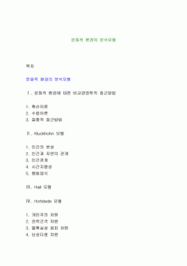 [비즈니스/경제] 문화적 환경의 분석모형-1페이지