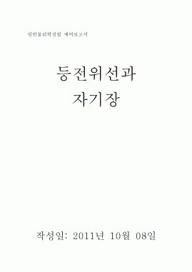 등전위선과 자기장 예비보고서-1페이지