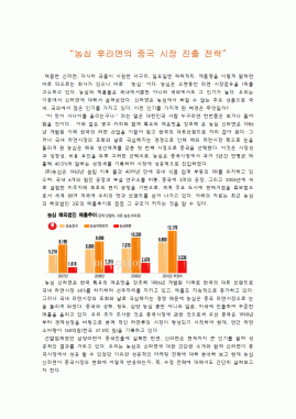 농심신라면중국시장진출전략-1페이지