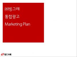 ㈜빙그레 통합광고 Marketing Plan(마케팅 플랜)-1페이지