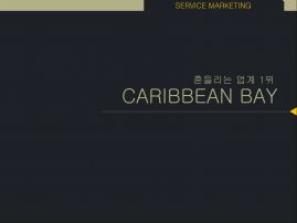 [SERVICE MARKETING] 흔들리는 업계 1위 캐리비안베이(CARIBBEAN BAY)-1페이지