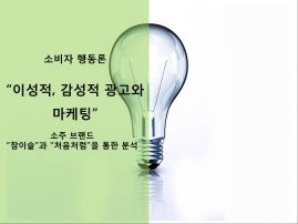 소비자 행동론 광고마케팅 감성마케팅 브랜드 참이슬 소주-1페이지