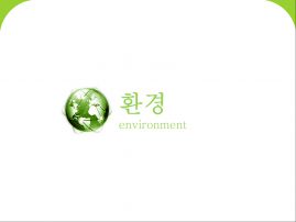 [세계화 발표] 환경 (environment)-1페이지