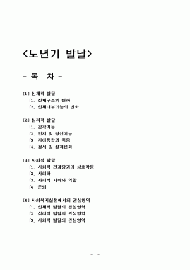 노년기발달-1페이지