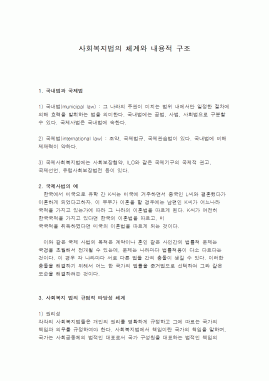 사회복지법의 체계와 내용적 구조-1페이지