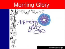 모닝글로리 (Morning Glory)-1페이지