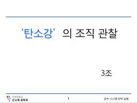 탄소강의 조직 관찰-1페이지