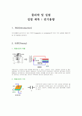 [물리학] 전기용량-1페이지