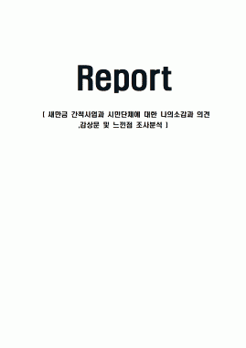 새만금 간척사업과 시민단체에 대한 나의소감과 의견 ,감상문 및 느낀점 조사분석-1페이지