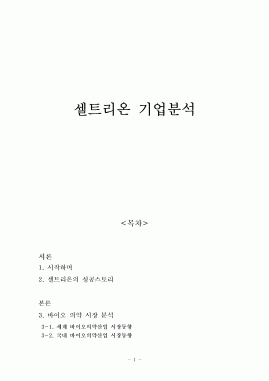 셀트리온 기업분석과 경영성공전략분석-1페이지