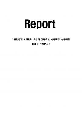 공인중개사 개업의 특성과 성공요인, 성공비결, 성공적인 마케팅 조사분석-1페이지