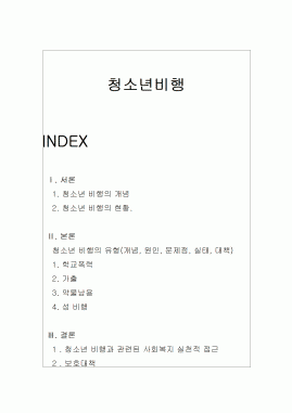 청소년비행 개념과 원인분석 및 문제점과 대책방안제안-1페이지