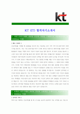 KT자기소개서예문-1페이지