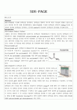 SDS-PAGE-1페이지