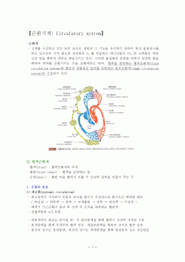 [간호학] 순환기계 (Circulatory system)-1페이지