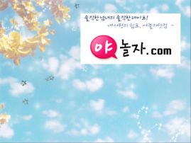 기업분석, 마케팅, 브랜드 - 야 놀자.com-1페이지