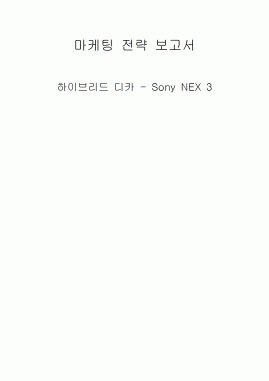 [마케팅 전략 보고서] 하이브리드 디카 - Sony NEX 3-1페이지