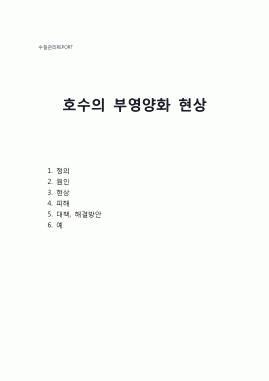 [수질관리] 호수의 부영양화(富營養化/eutrophication) 현상-1페이지