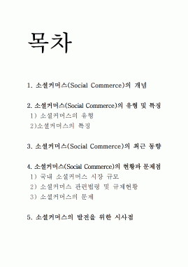 소셜커머스(Social Commerce)의 개념-1페이지