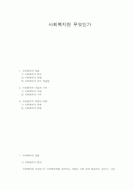 [인문과학] 사회복지란 무엇인가 -1페이지