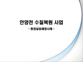 환경갈등관리_안양천 수질개선 사업-1페이지