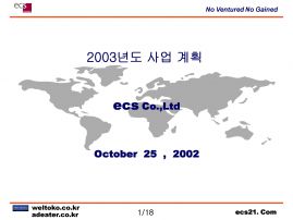 최첨단 IT부품소재 ecs Co.,Ltd - No Ventured No Gained 2003년도 사업 계획-1페이지