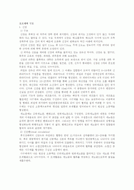 [간호학] 요로계의 구조와 기능-1페이지