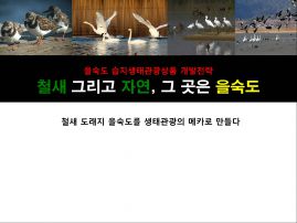 습지생태관광,을숙도,생태관광,철새,마케팅,브랜드,브랜드마케팅,기업,서비스마케팅,글로벌,경영,시장,사례,swot,stp,4p-생태공원의 이해-1페이지