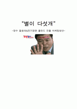 “별이 다섯개” -장수 돌침대&전기장판 폴란드 진출 마케팅방안-1페이지