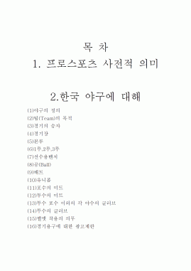 프로 스포츠에 대하여-1페이지