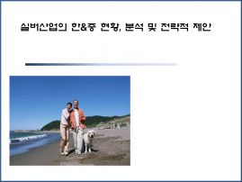 중국시장,실버산업,마케팅,브랜드,브랜드마케팅,기업,서비스마케팅,글로벌,경영,시장,사례,swot,stp,4p-1페이지