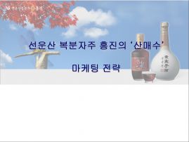 주류마케팅,마케팅사례,마케팅,브랜드,브랜드마케팅,기업,서비스마케팅,글로벌,경영,시장,사례,swot,stp,4p-1페이지