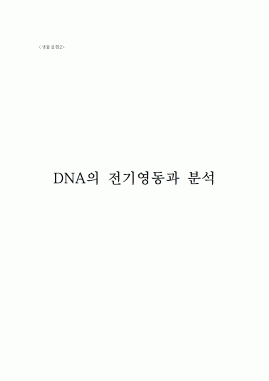 DNA의 전기영동과 분석-1페이지