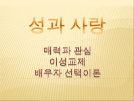 배우자선택이론-1페이지