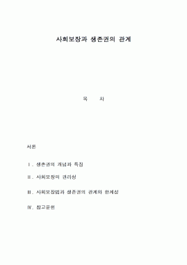 사회보장과 생존권의 관계-1페이지