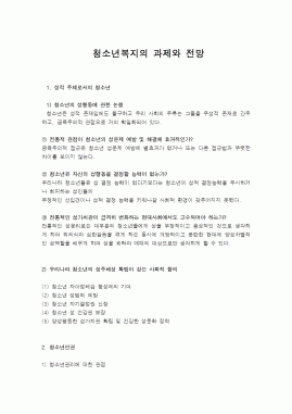 청소년복지의 과제와 전망-1페이지