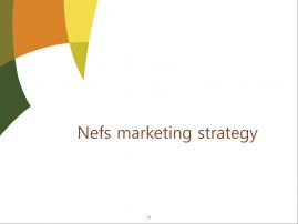 넵스 마케팅 전략 (Nefs marketing strategy)-1페이지
