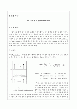 유동화 실험(Fluidization)-1페이지