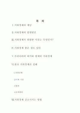 지하경제에 대해서-1페이지