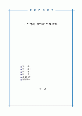 치매의 원인과 치료방법(예)-1페이지