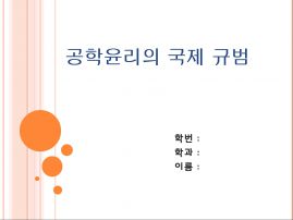 공학윤리의 국제 규범-1페이지