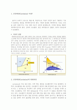 캐비테이션에 대해서-1페이지