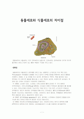 동물세포와 식물세포의 차이점-1페이지