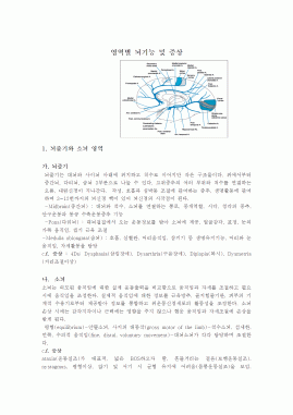 영역별 뇌 기능 및 증상-1페이지